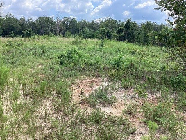 Caroline Dr, Greenbrier, AR 72058