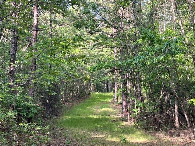 Caroline Reed Rd, DeKalb, MS 39328