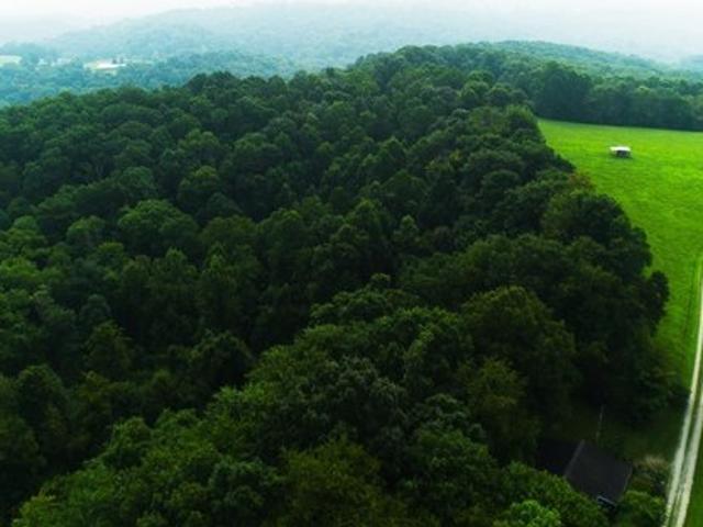 Carpenter Ln, Waverly, WV 26184