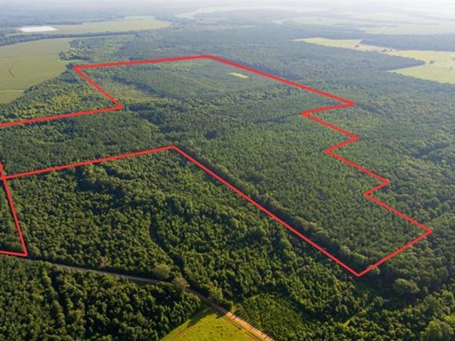 Carpenter Rd, Bastrop, LA 71220