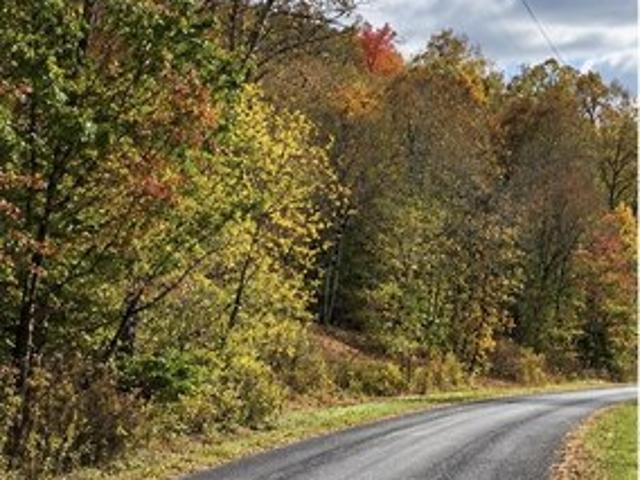 Carpenter Rd, Dellrose, TN 38453