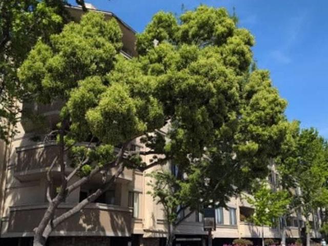 Carpentier St Apt 101