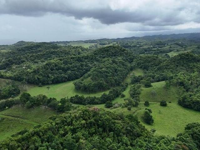 Carr, Manati, Plot For Sale