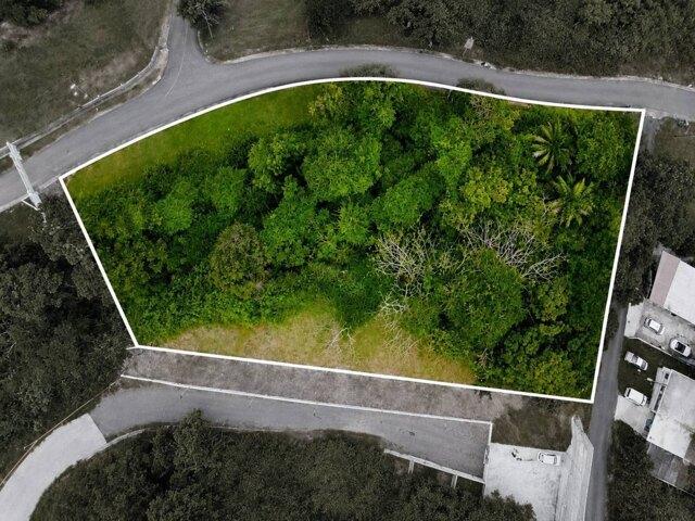 Carr Bo Navarro Lot Solar Lot Solar, Gurabo, Plot For Sale