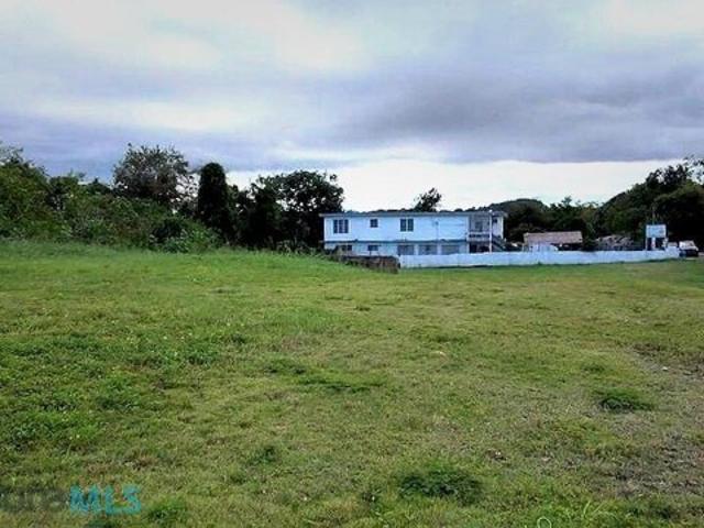 Carr Bo Arenales Bajos #,isabela, Plot For Sale