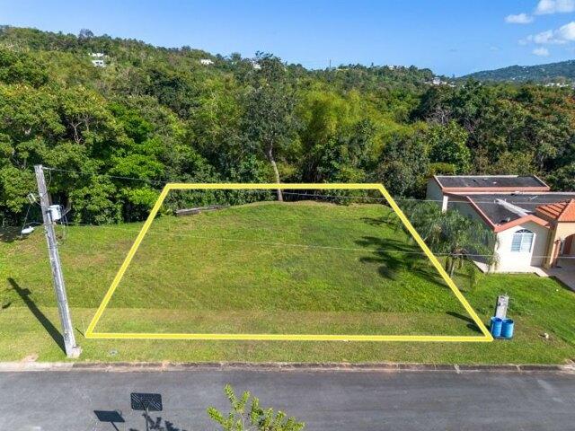 Carr Bo Florida Camino De Via Lot,san Lorenzo, Plot For Sale