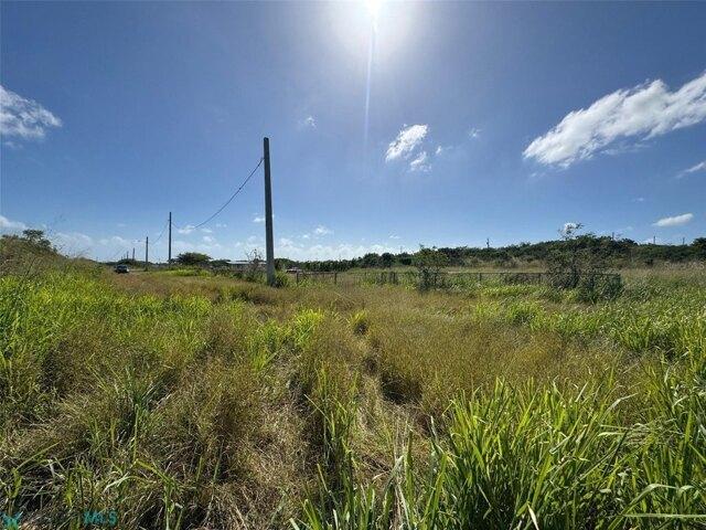 Carr Bo Jauca, Santa Isabel, Plot For Sale