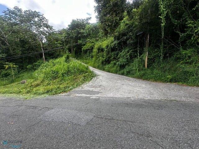 Carr Bo Lavadero #,hormigueros, Plot For Sale