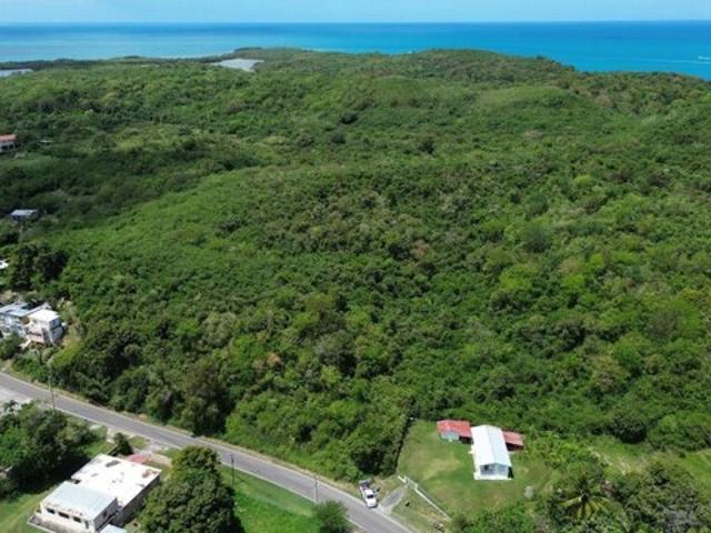 Carr Boqueron, Cabo Rojo, Plot For Sale