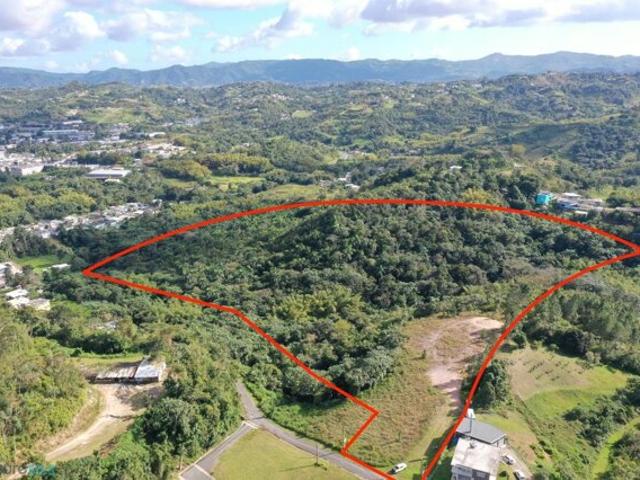 Carr Calle Zafiro Unit,cidra, Plot For Sale