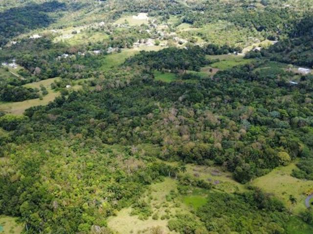 Carr Cam Trujillo #,san Sebastian, Plot For Sale