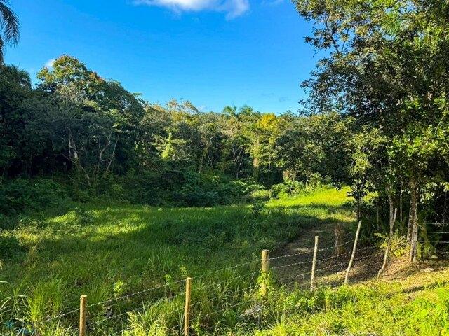 Carr,camuy, Plot For Sale