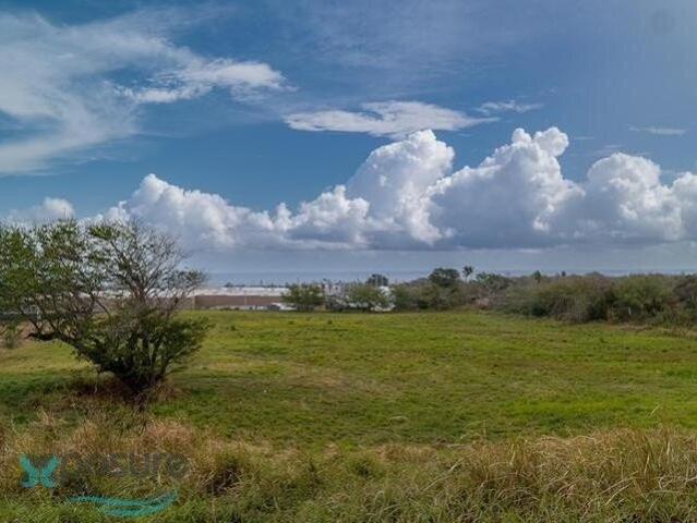 Carr Finca Llana Con Potencial Comercial Cuerdas En Hatillo #,hatillo, Plot For Sale