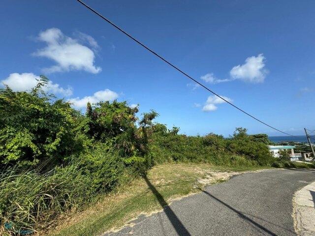 Carr Interior, Camuy, Plot For Sale