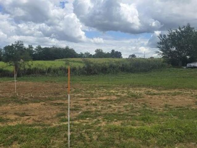 Carr Isabela,isabela, Plot For Sale
