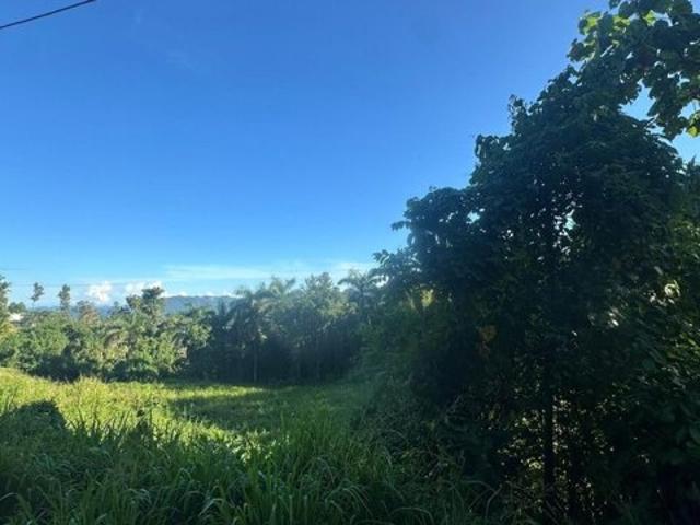 Carr Km #,caguas, Plot For Sale