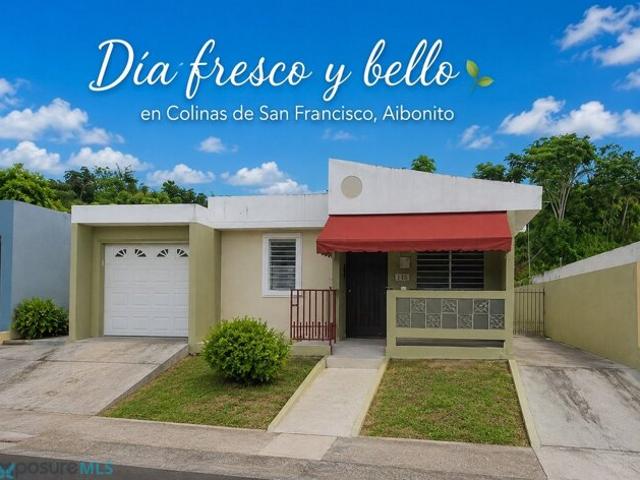 Carr Km Hm Colinas De San Francisco, Aibonito, Home For Sale