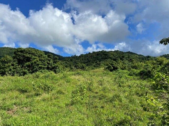 Carr Km Int Caimito Ward Lot,juncos, Plot For Sale