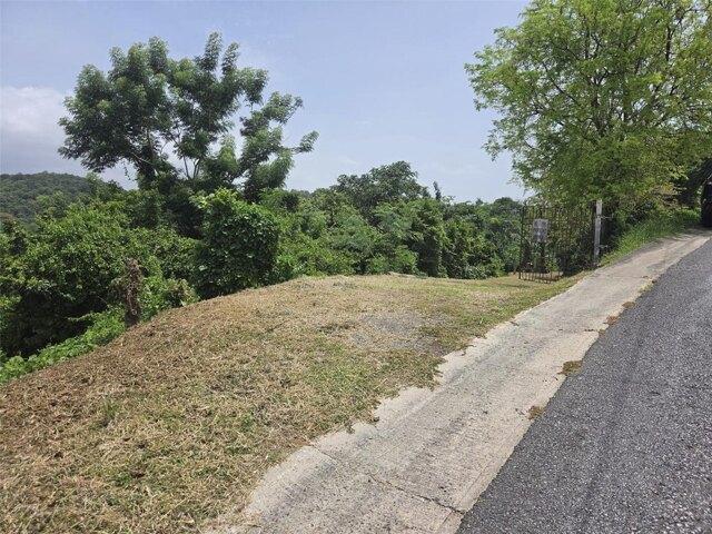 Carr Rio Hondo, Mayaguez, Plot For Sale