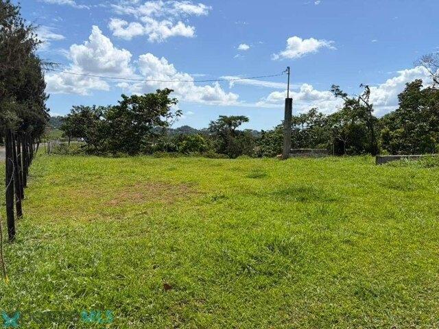 Carr #,san Sebastian, Plot For Sale