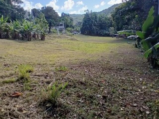 Carr Unit,gurabo, Plot For Sale