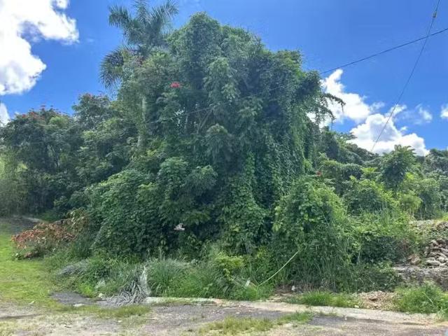 Carr 160 Km 10 8 Solar 16 Bo Almirante Sur, Vega Baja, PR 0069.