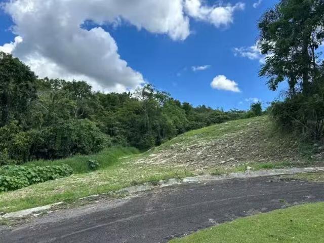 Carr 160 Solar 8 Bo Almirante Sur, Vega Baja, PR 00693 MLS P.