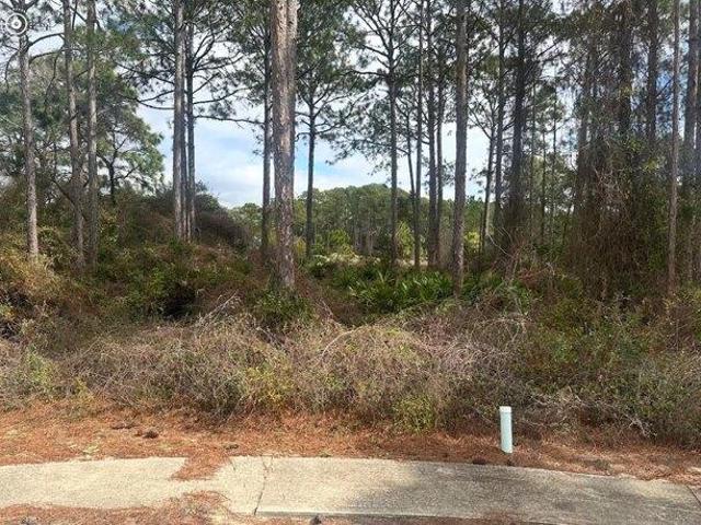 Carrabelle FL 32322 LS91796258