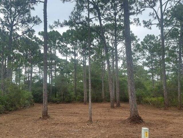 Carrabelle FL 32322 LS91820881