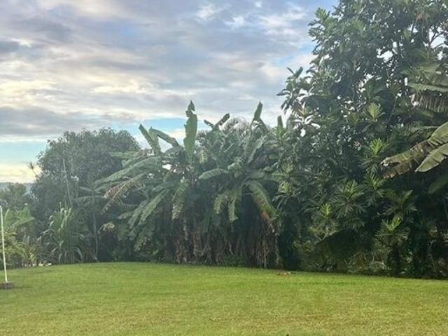 Carretera Estatal #,las Piedras, Plot For Sale