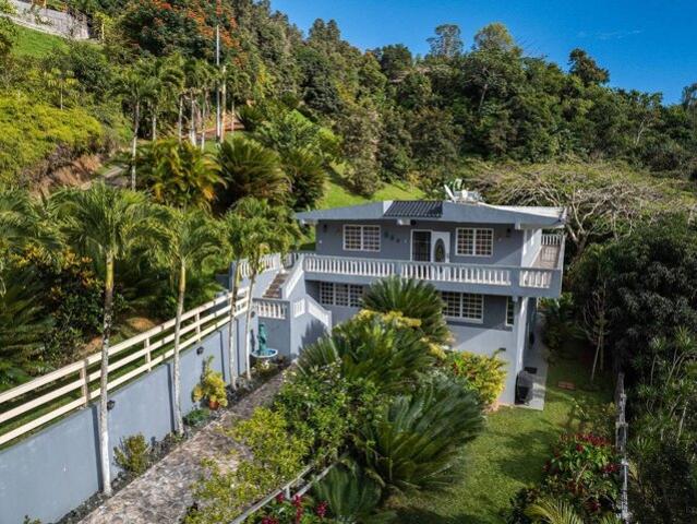 Carretera Kilometro #,cayey, Home For Sale