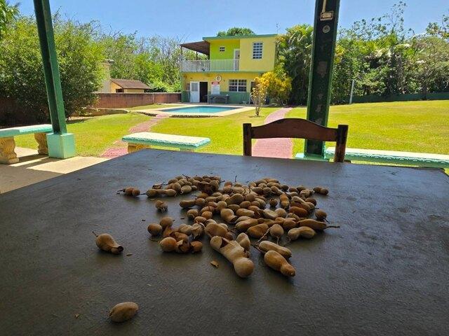 Carretera #,vega Baja, Home For Sale