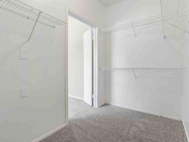 Carrington Park 1 Bedroom Apartment for Rent at 3001 Communications Pkwy, Plano, TX 75093