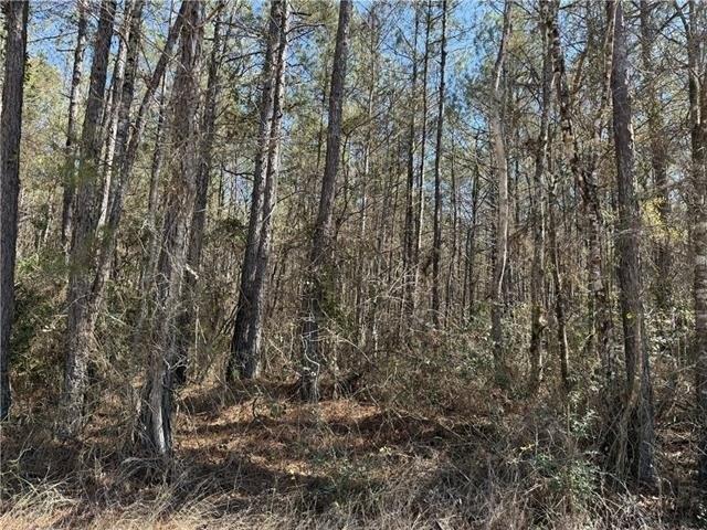 Carrier Rd, Oakdale, LA 71463