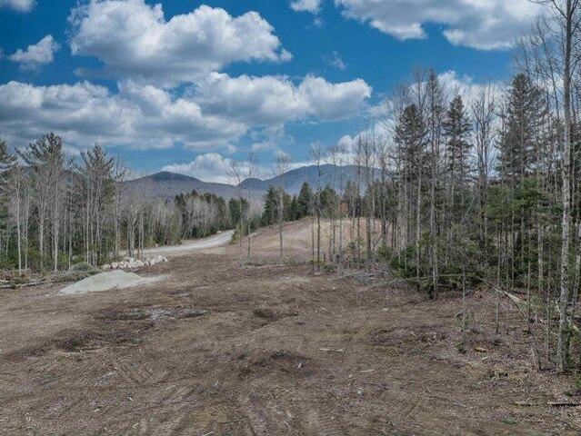 Carroll NH 03595 LS102823026