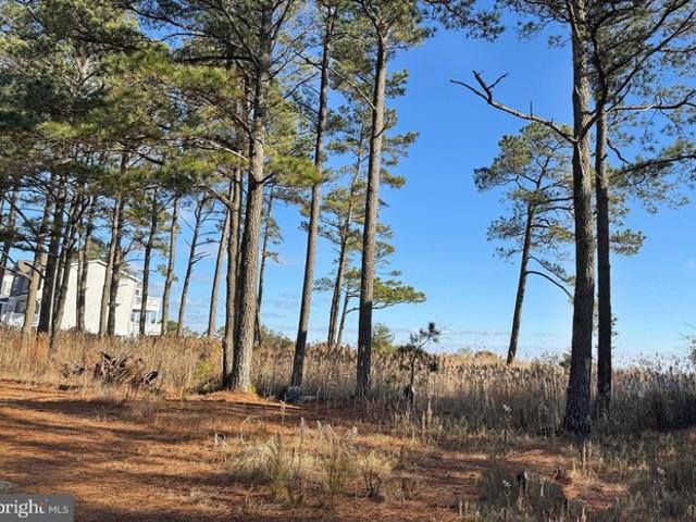 Castaway Dr Lot 720, Greenbackville, VA 23356