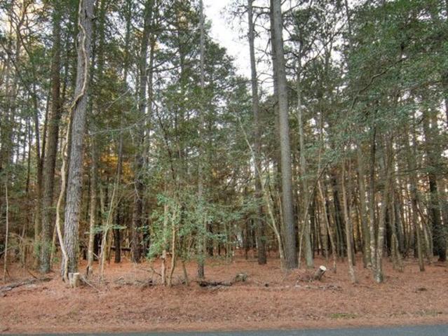 Castaway Dr Lot,greenbackville, Plot For Sale