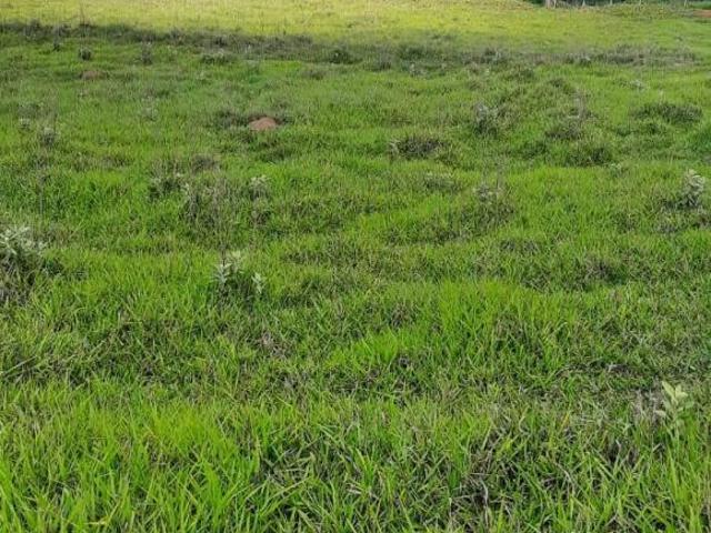 CASTELO BRANCO 5.000 M2 PLANO PORANGABA TATUI