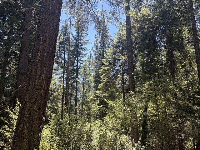 Castle Creek Rd, Shasta Lake, CA 96067