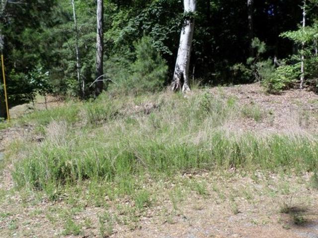 Castle Dr, Montross, Plot For Sale