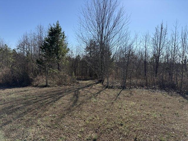 Castle Hill Dr, Bryant, AL 35958