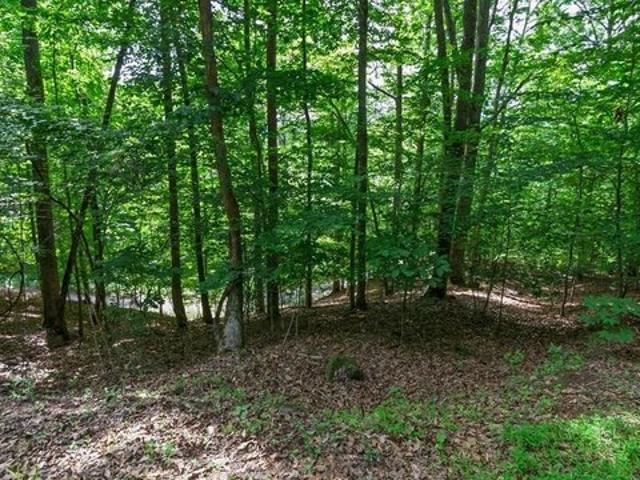 Castleman Rd, Franklin, NC 28734