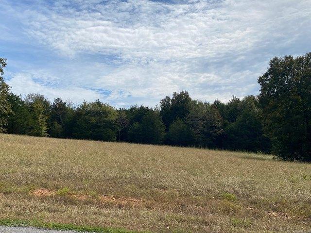 Castlepines Dr Lot 19, Greenbrier, AR 72058
