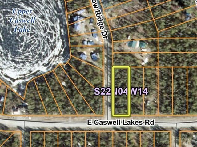 Caswell Lakes Rd, Willow, AK 99688