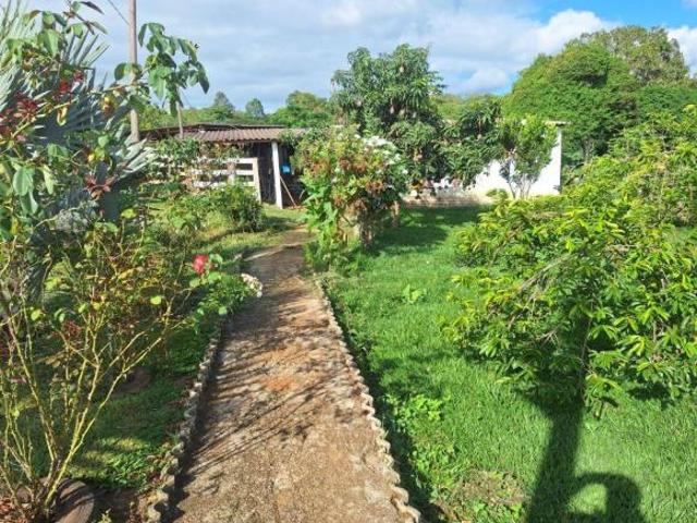 CASA MOURA VENDE – FAZENDA RIO AREIAS, BR 060, SETE CURVAS