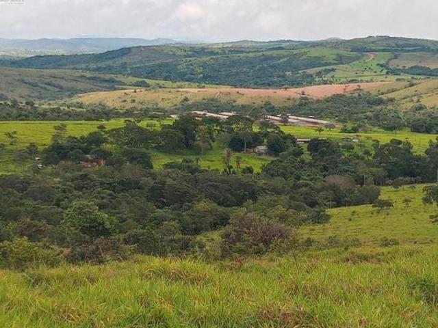 CASA MOURA VENDE – GRANJA DE AVES ATIVA – GIRASSOL GO