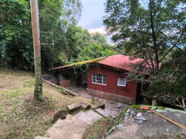 Casa na Serra da Cantareira por apenas R$ 550.000,00!