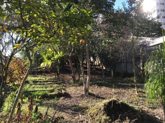Casa no bairro Centro em Caxias do Sul