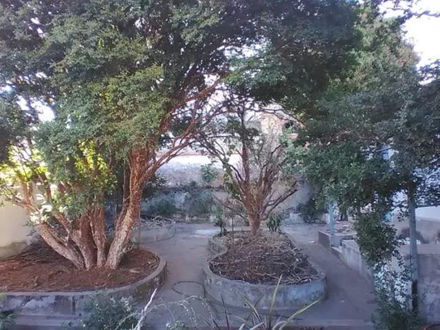 Casa no bairro da Graça