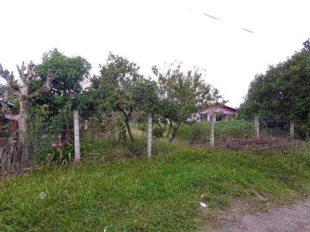 Casa no bairro Lami com terreno de 500 m²
